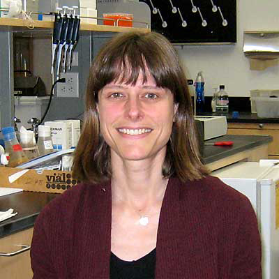 New faculty profile: Jill Wildonger – eCALS