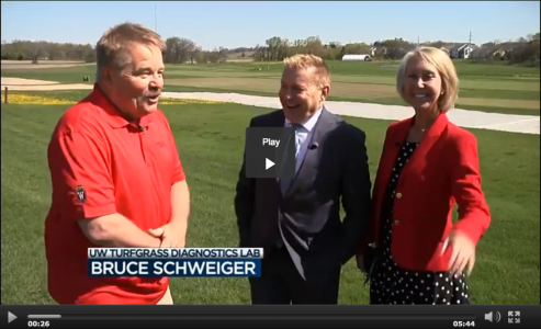 Bruce Schweiger: How to have the best-looking lawn on the block – eCALS