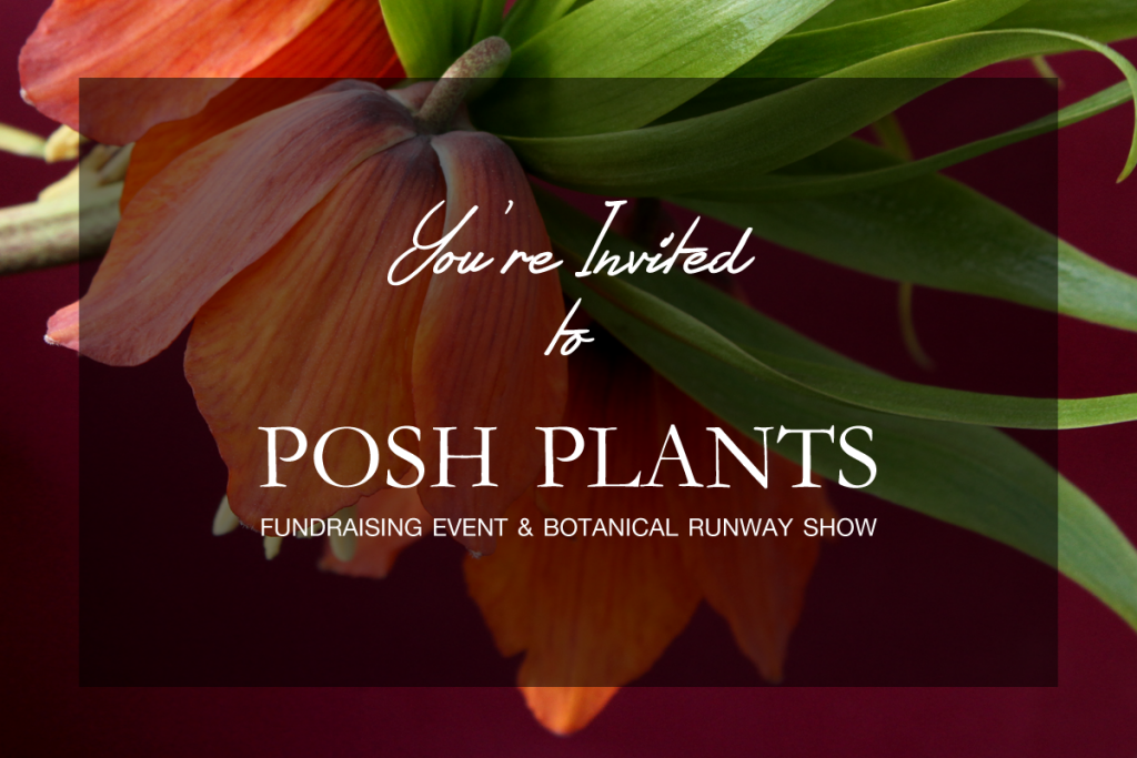 Posh Plants fundraiser and botanical runway show for Allen Centennial ...