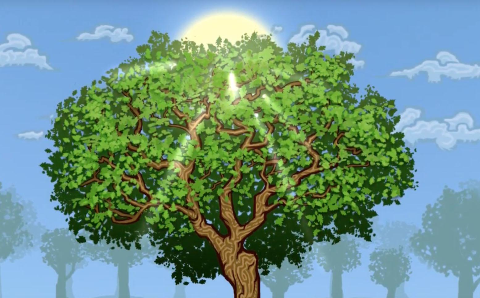 New video aims to preserve future of oak in Wisconsin – eCALS