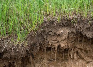 Five things everyone should know about…The Soils of Wisconsin – eCALS