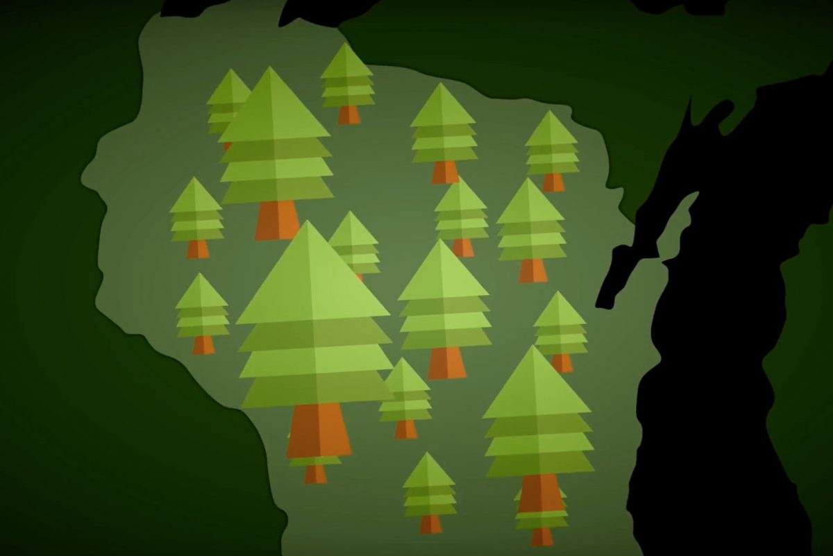 Catching the bug: Controlling the emerald ash borer in Wisconsin – eCALS