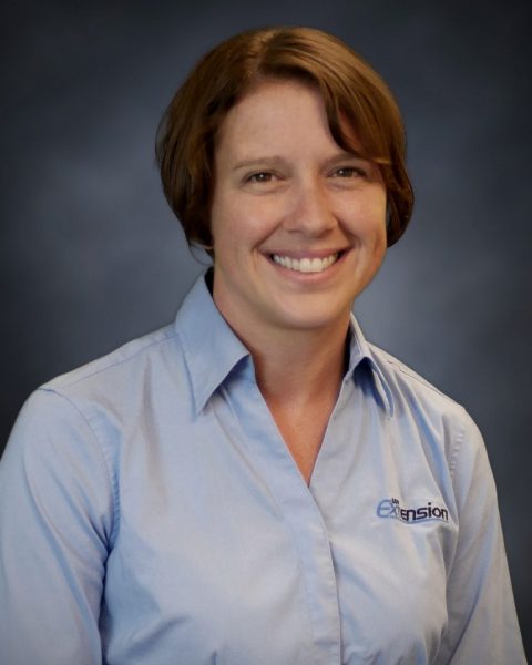 Heidi Johnson named director of Division of Extension’s Agriculture ...