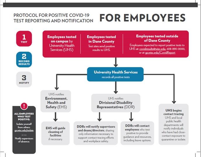 Positive COVID-19 test reporting and notification information – eCALS