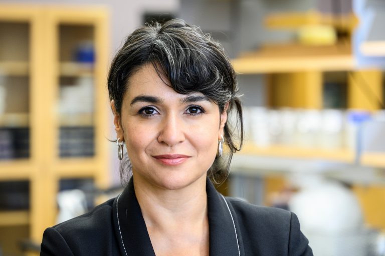 Betül Kaçar receives Stanley Miller Early Career Award from ISSOL – eCALS