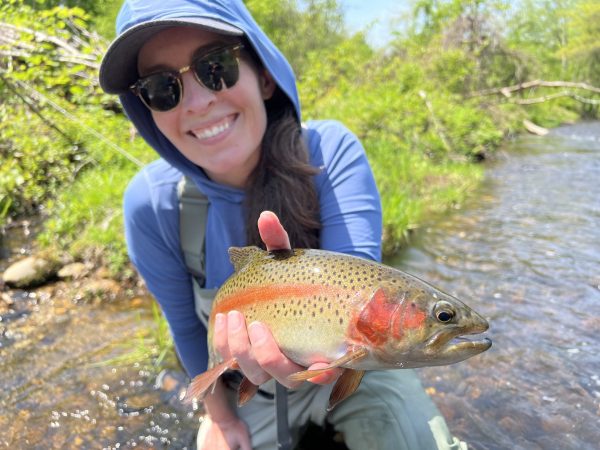 New faculty profile: Jennifer Raynor studies the economic dimensions of ...