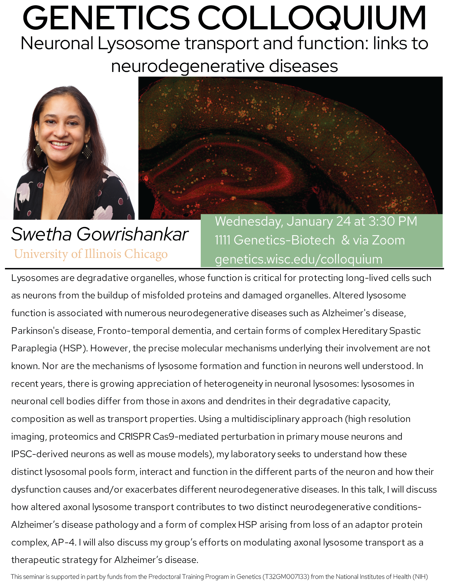 Genetics colloquium: Swetha Gowrishankar on neuronal lysosomes and ...