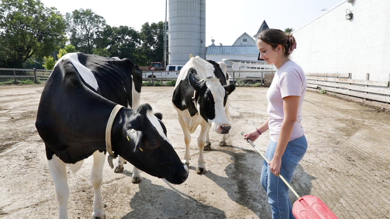 Department of Animal and Dairy Sciences offers new major in dairy and ...