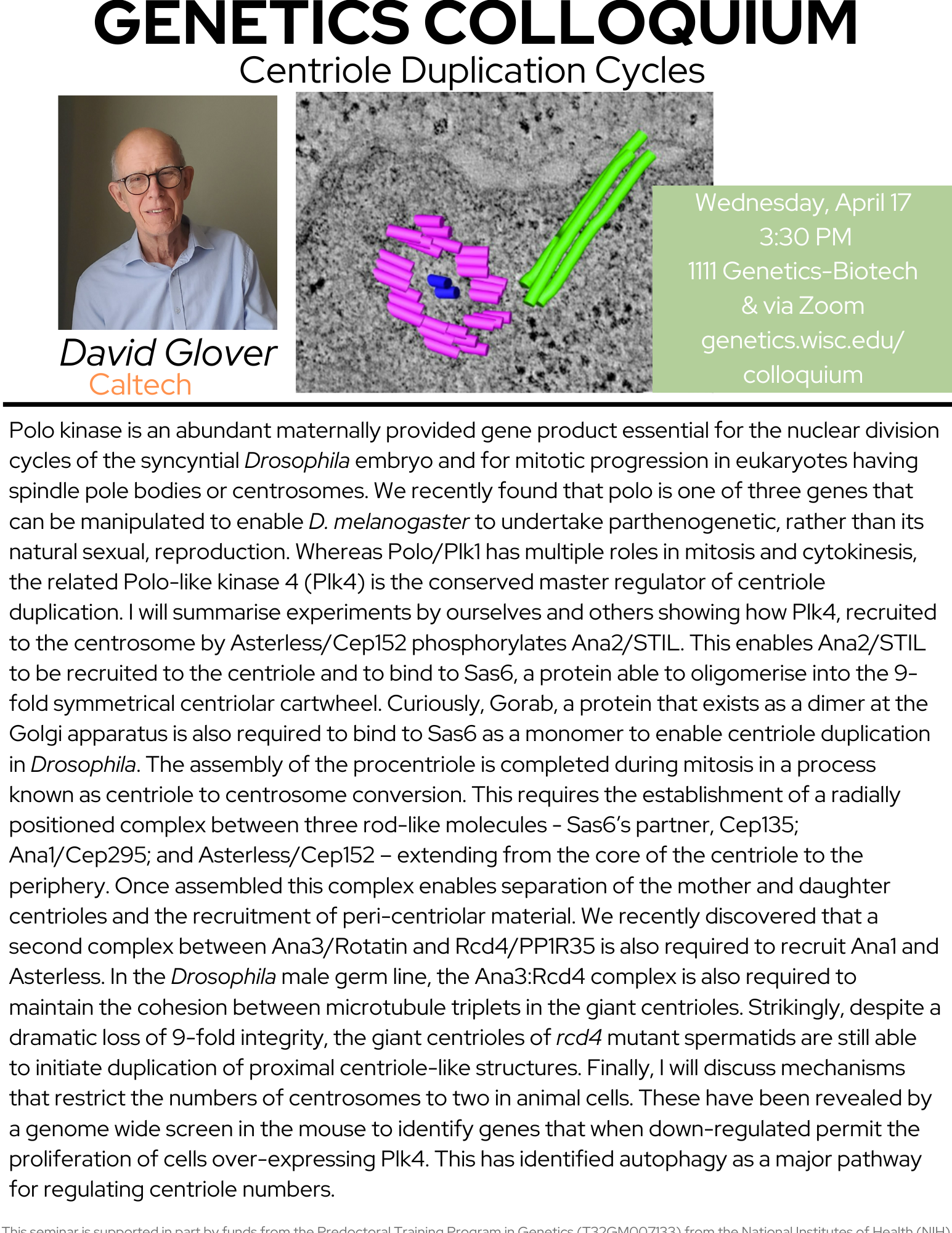 Genetics colloquium: David Glover on centriole duplication cycles – Apr ...