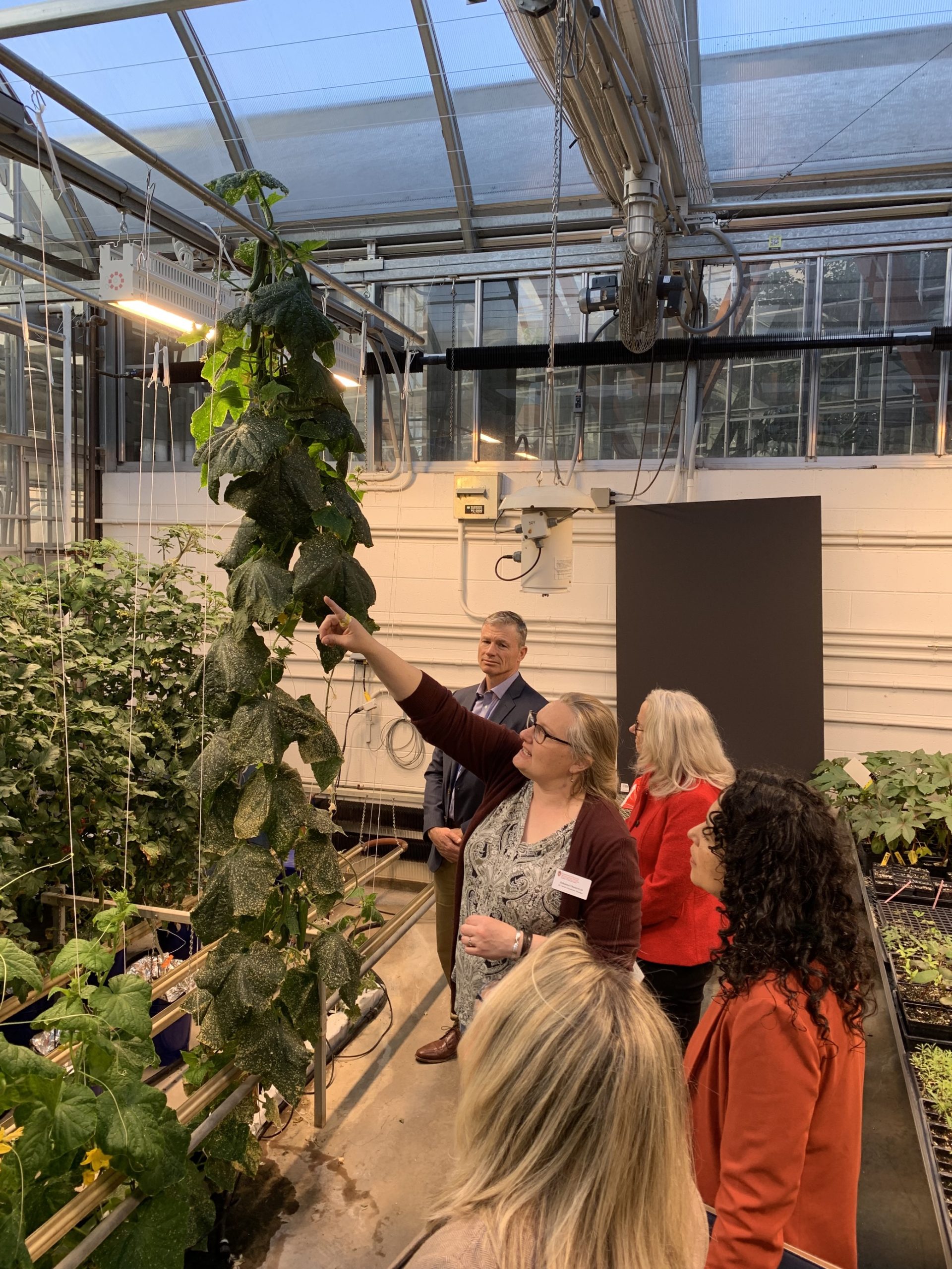 USDA Deputy Secretary Torres Small visits UW-Madison – eCALS