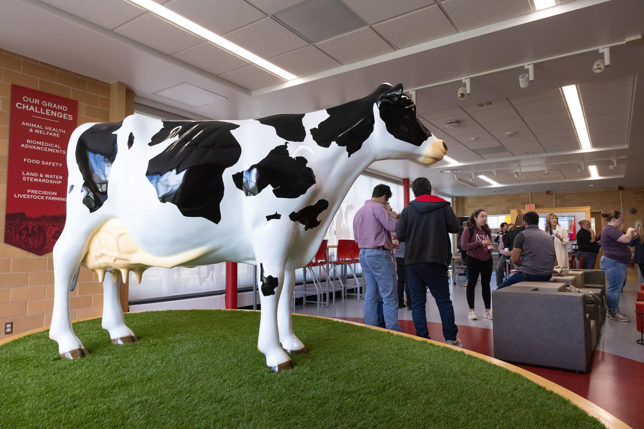 Photos: Visitors explored newly renovated welcoming space at Dairy ...