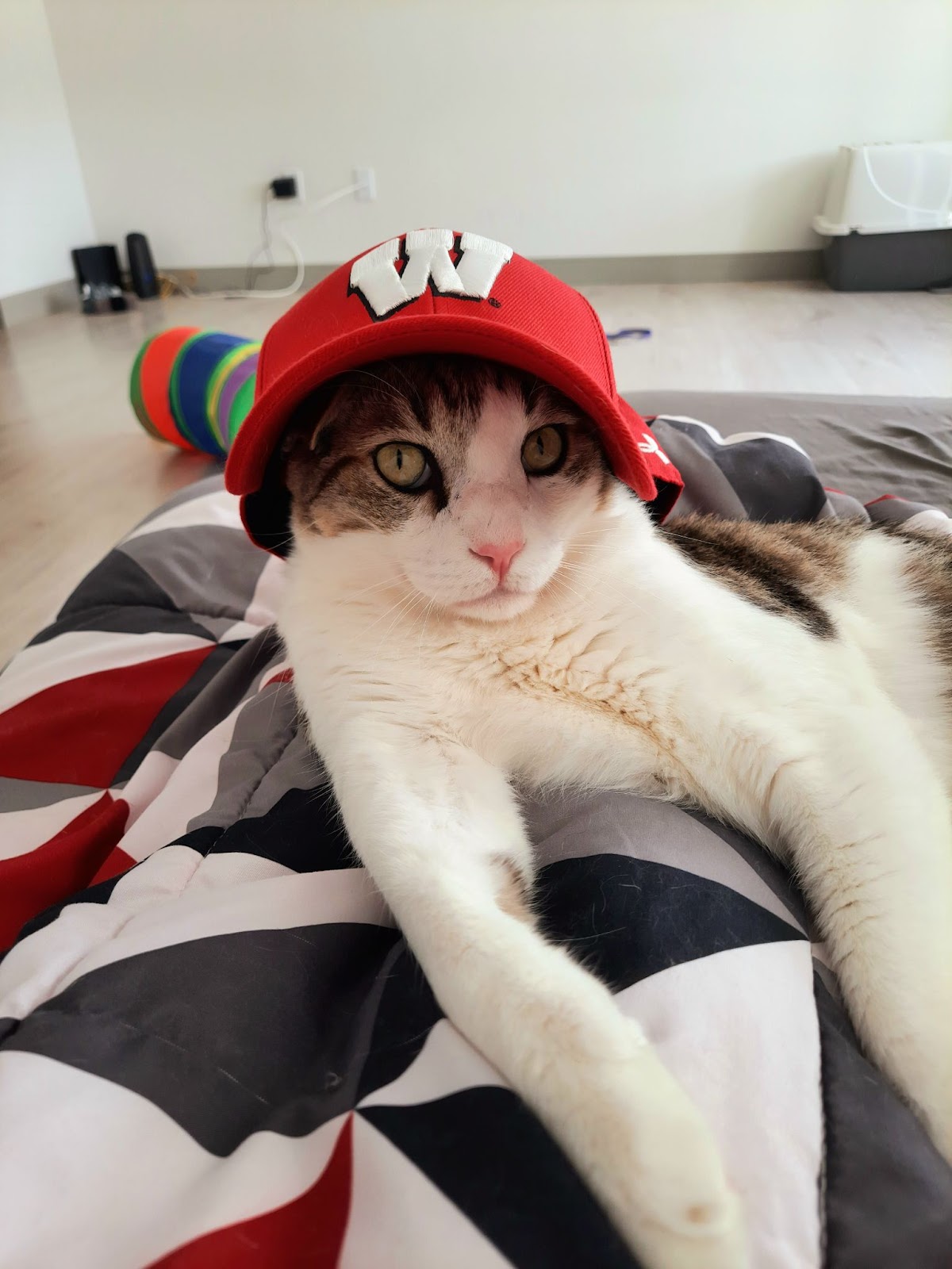 Participate in Partners in Giving: Vote now in the CALS Pet Photo ...
