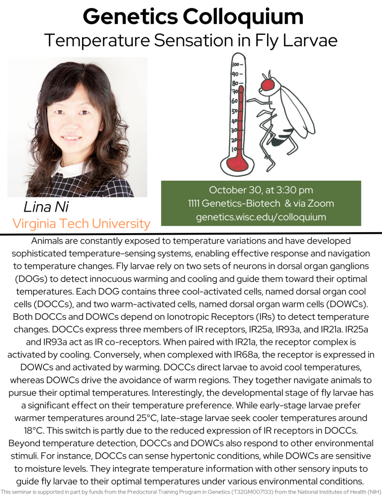 Genetics colloquium: Lina Ni on temperature sensation in fly larvae ...